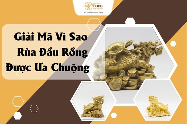 Giải Mã Vì Sao Rùa Đầu Rồng Được Ưa Chuộng